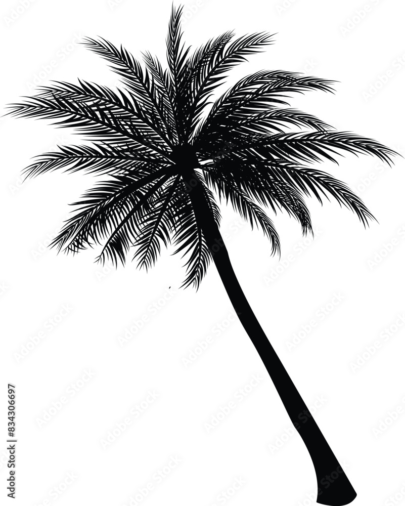 Black palm trees set isolated on white background. . Design of palm ...