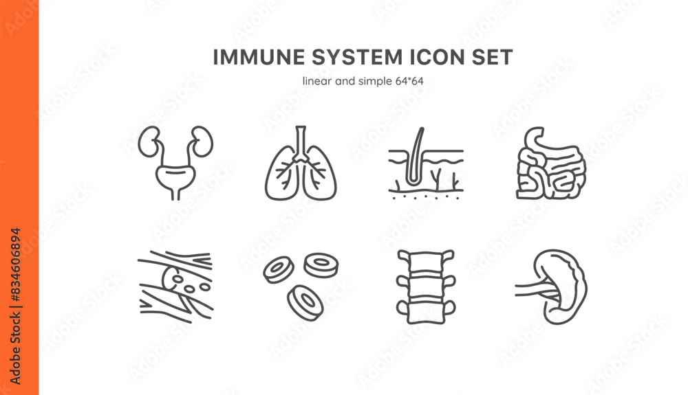 Immune System Icons Set. Illustrations of Kidneys, Lungs, Skin ...