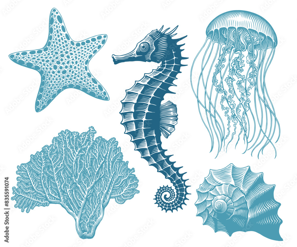 Sea creatures. Design set. Editable hand drawn illustration. Vector ...