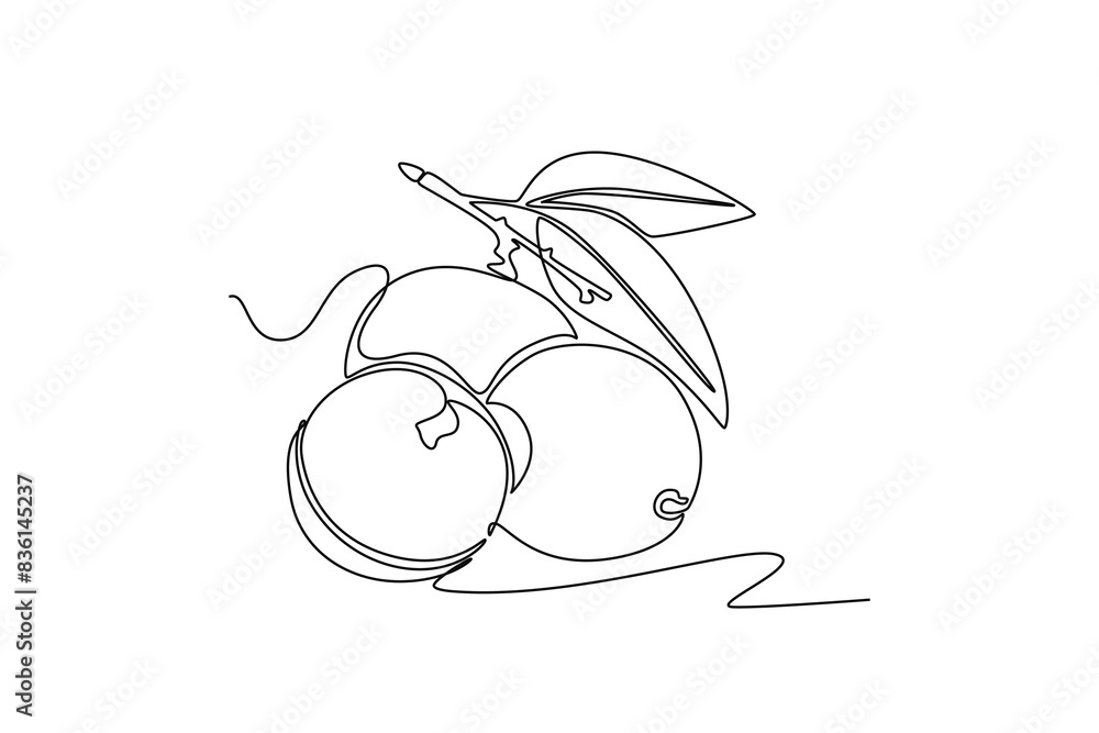 Continuous one line drawing of whole healthy organic longan on tree ...