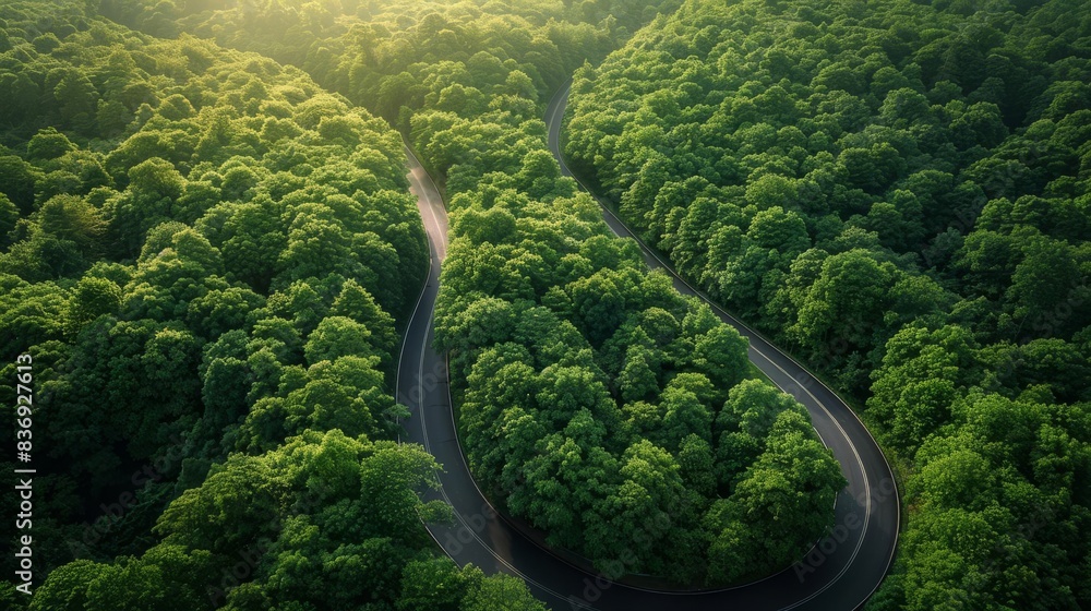Birds eye view of a winding road enveloped by vibrant green treetops, a ...