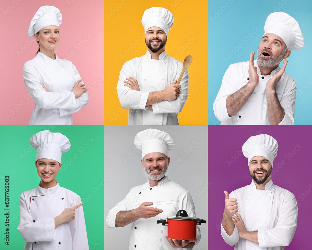 Collage with photos of professional chefs on different color ...