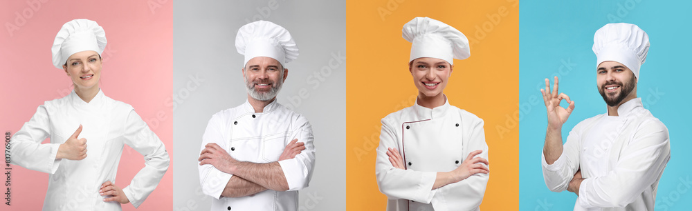 Collage with photos of professional chefs on different color ...