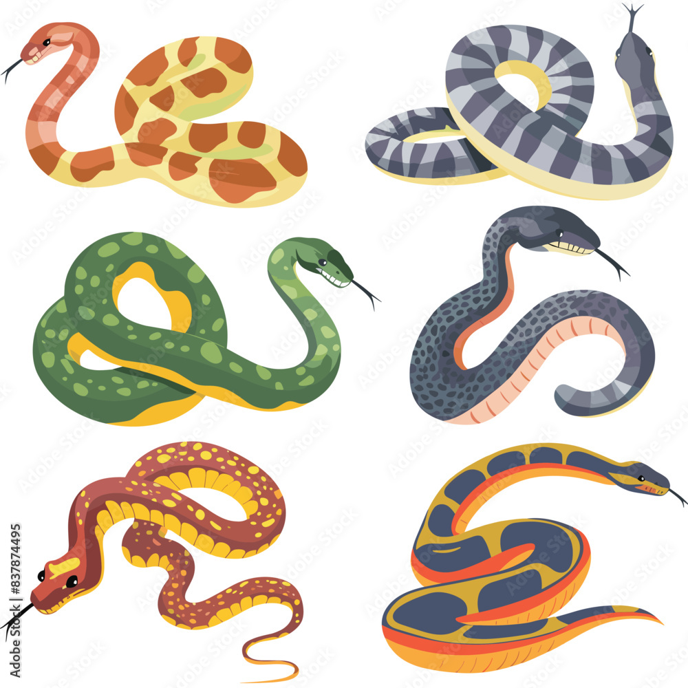 Various colorful snakes illustrated cartoon style. Six different types ...