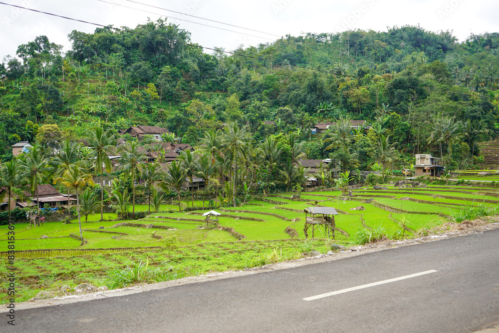 Subak is the water management (irrigation) system for the paddy fields ...