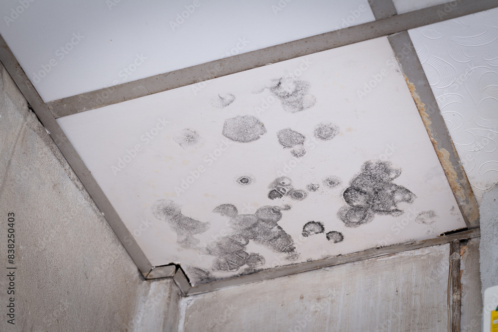 Black mold on the bathroom ceiling That usually happens from the water ...