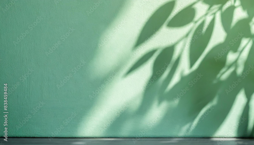light background of shadows from plant leaves on a delicate light green ...