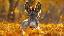 Funny Autumn Donkey Art Free Stock Photo - Public Domain Pictures