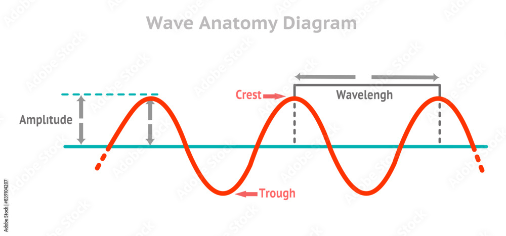 Wave anatomy diagram. Amplitude, waveform, crest, trough. Longitude ...