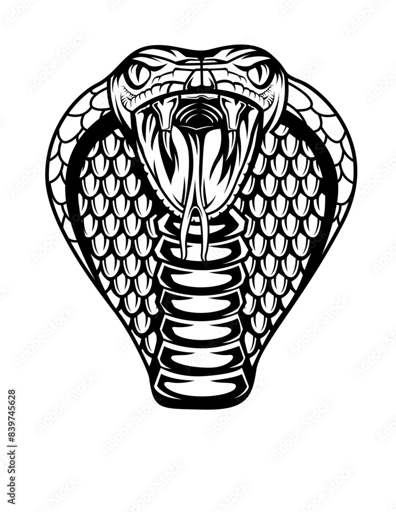 Cobra Head | Snake | Viper | Deadly Snake | Venom | Serpent Face ...