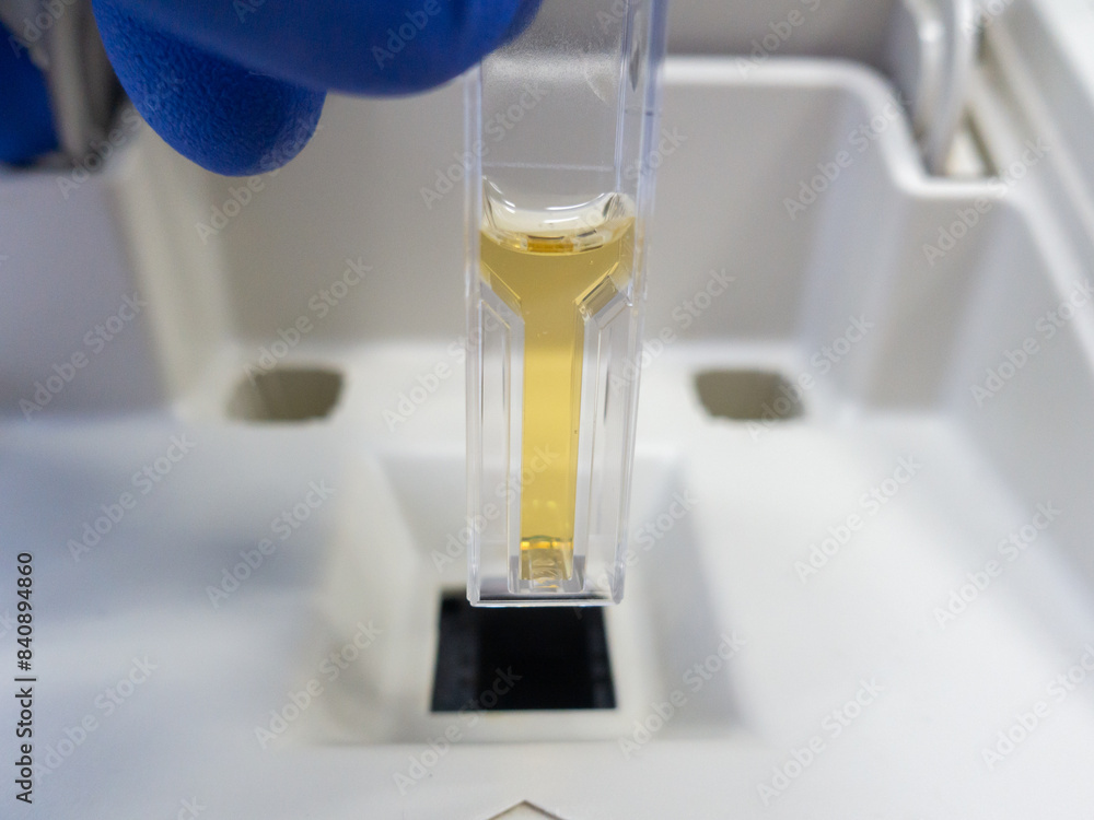 Special cuvettes for studying biological fluids. liquid with bacteria ...