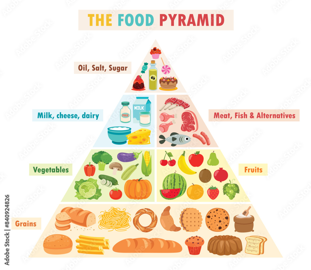 Infographics Of The Food Pyramid Stock Vector | Adobe Stock