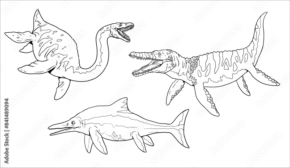Image vectorielle Stock Predatory aquatic dinosaurs: Plesiosaur ...
