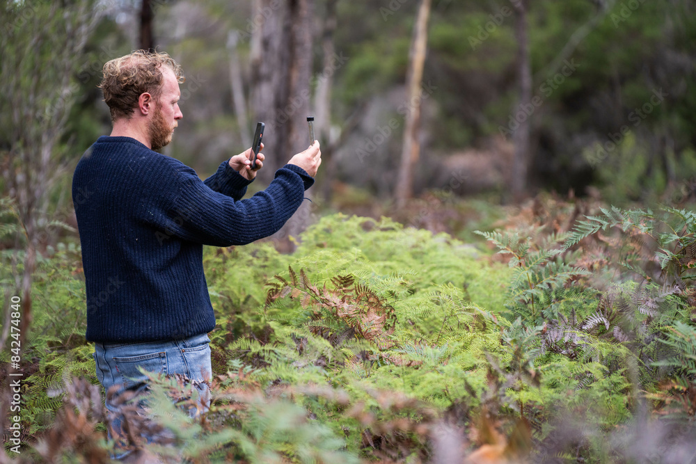 scientist researcher studying soil and forest health effects from ...