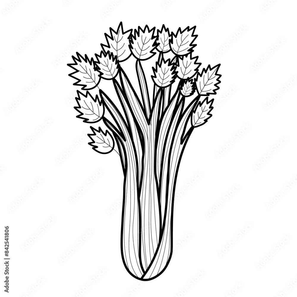 Celery vegetable in black and white. Fresh celery element isolated in ...