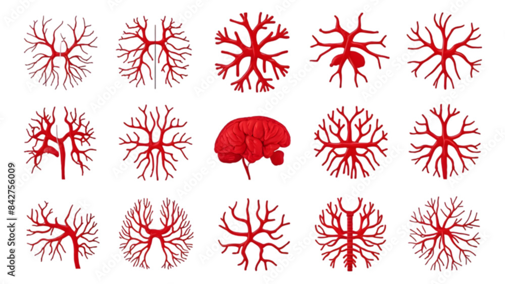 Set of Red Nervous System Elements in Grid View - Isolated on ...
