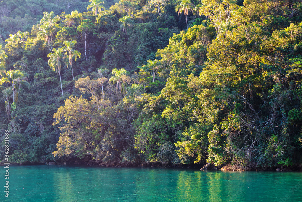 Meeting of the Atlantic Forest with the ocean waters in Ilha Grande ...