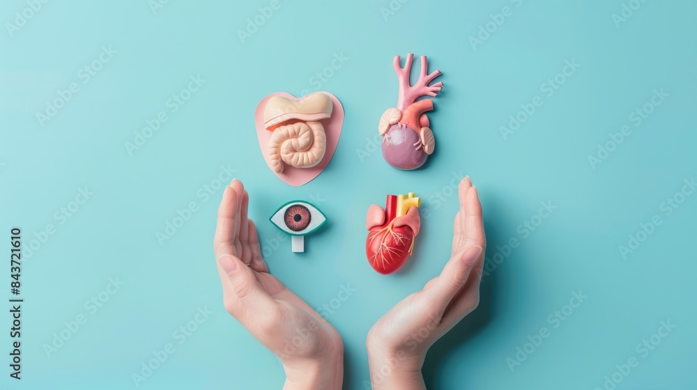 Cardiology and organ donation, a powerful visual for organ donation day ...