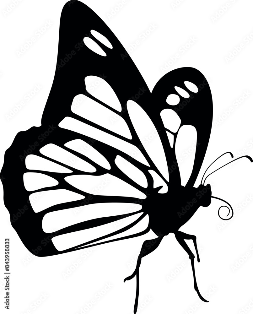 Monarch butterfly SVG Cut File for Cricut and Silhouette, EPS Vector ...
