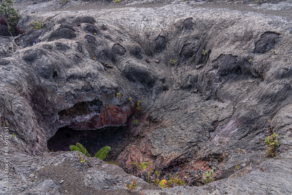 Plants grow from the 1969 fissure vents. Hawaii Volcanoes National Park ...