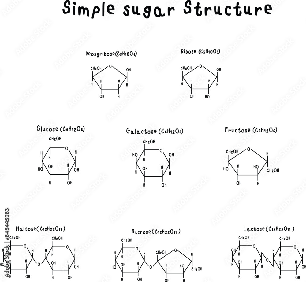 Set of sugar chemical structures such as Glucose, Fructose, Galactose ...