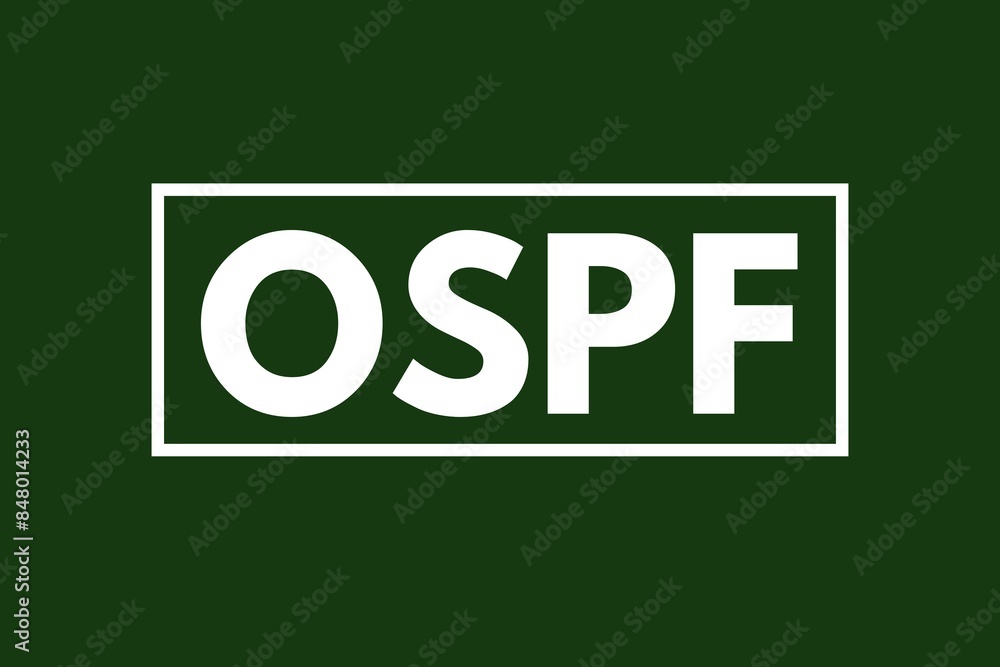 OSPF, OSPF Protocol, Open Shortest Path First Stock Illustration ...