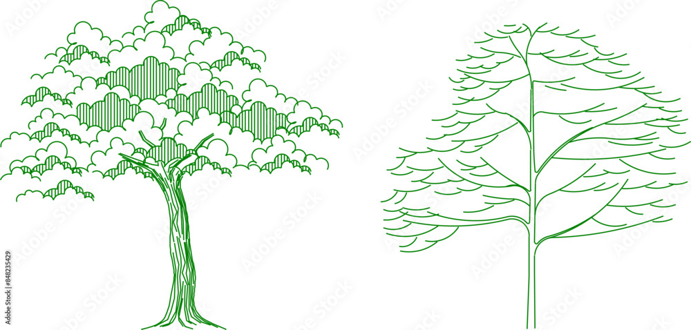 Sketsa ilustrasi siluet vektor desain detail tanaman pohon palem ...