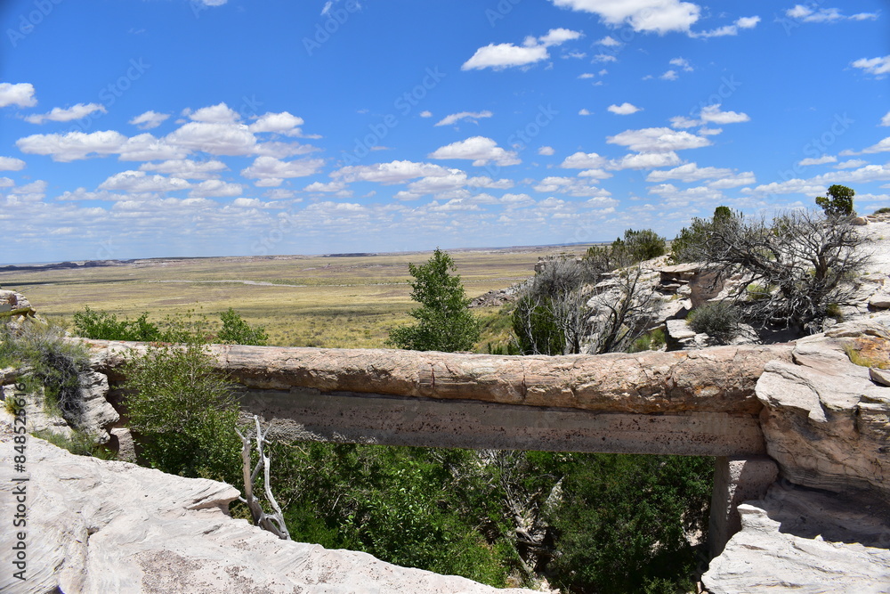 The Agate Bridge, a 110 foot long petrified wooden log laying across a ...