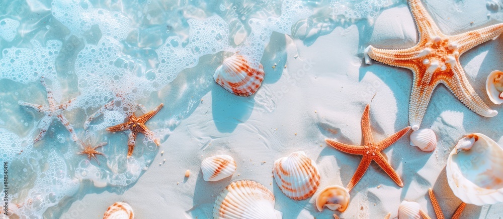 Top view of stunning seashells and starfish scattered across the ...