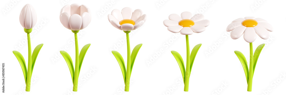 Daisy plastic flower flourish step process from bud to blossom with ...