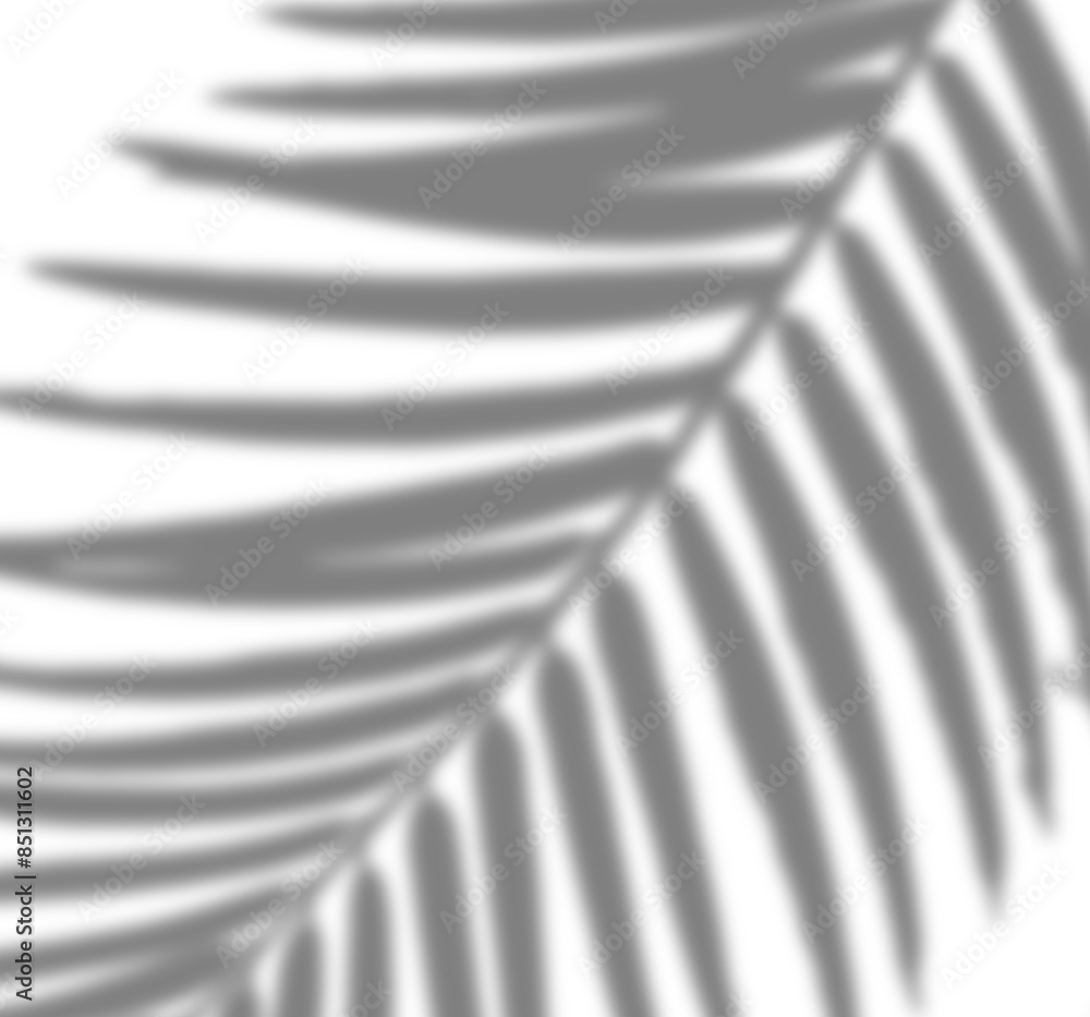 Tropical tree branch shadow overlay effect isolated on transparent ...