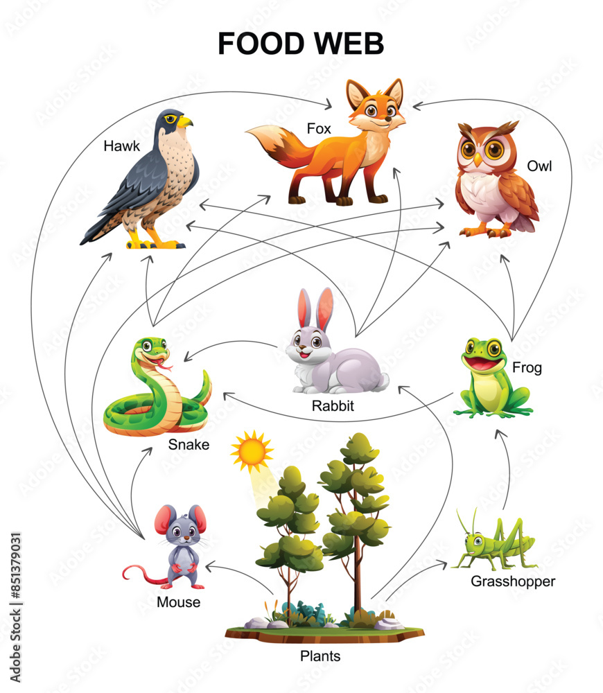 Food web ecosystem vector cartoon illustration Stock Vector | Adobe Stock