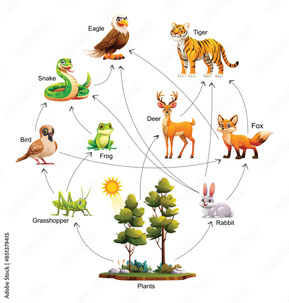 Food web ecosystem. Vector cartoon illustration Stock Vector | Adobe Stock