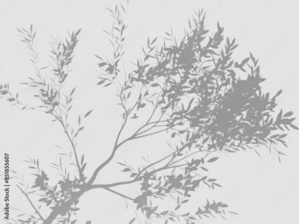 Leaf Tree Shadow Animation - 4K UHD White Background Image - Gobo ...