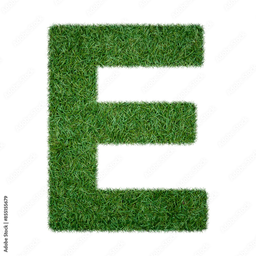 Alphabet letter E grass texture isolated on a transparent background ...