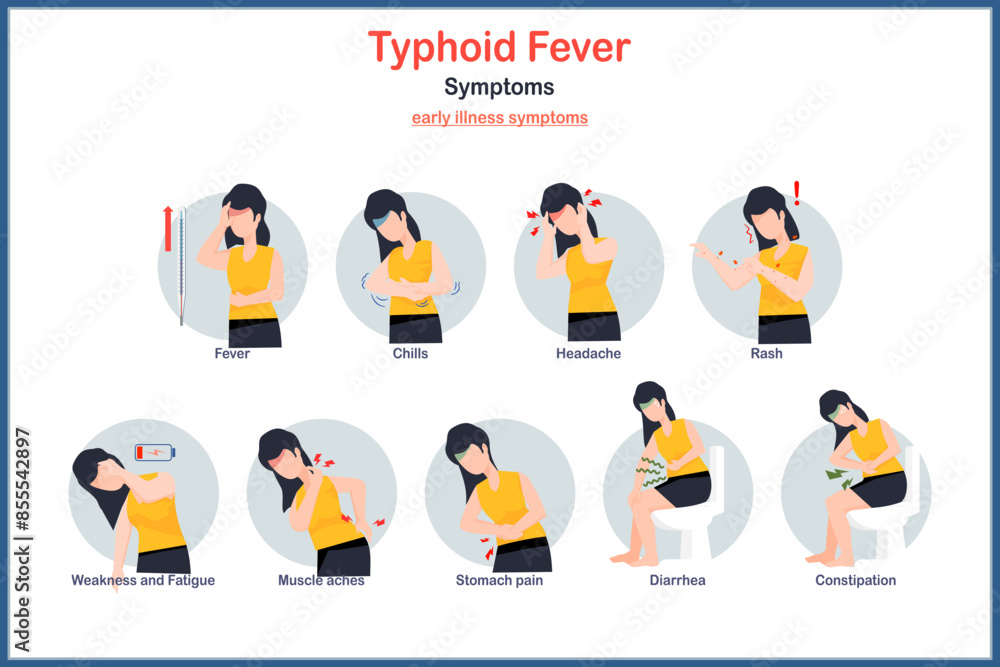 Symptoms of typhoid fever.Medical illustration concept in flat style ...