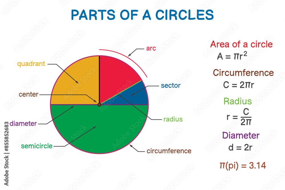 Parts of a circle. Education. Science. School. Vector illustration ...