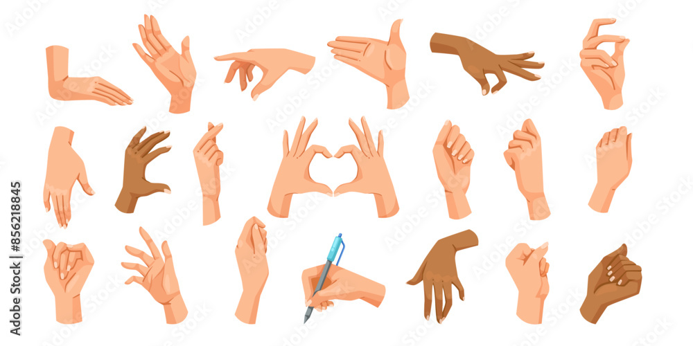 Multiple hand gestures in various positions, vector illustration, on a ...