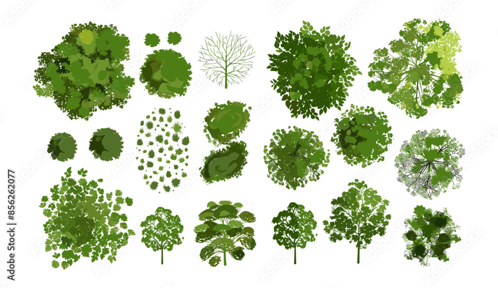 Vector top view tree isolated on white background for landscape ...