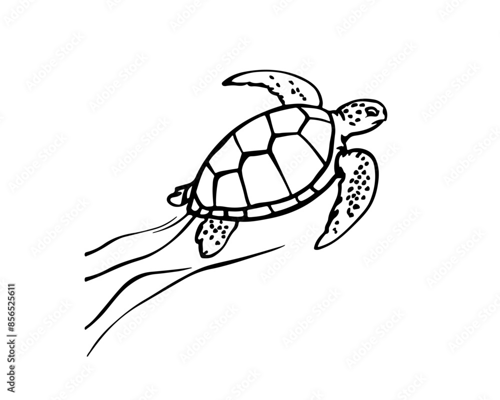 Vector isolated cute cartoon swimming sea turtle colorless black and ...