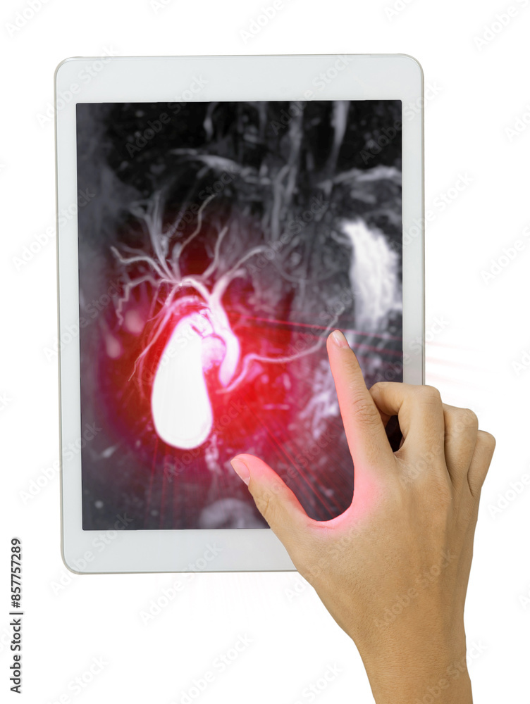 The hand gestures towards a tablet displaying the detailed Magnetic ...
