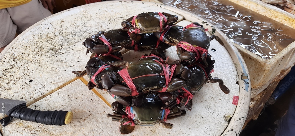 Activities of the Muara Angke retail fish market center in Jakarta ...