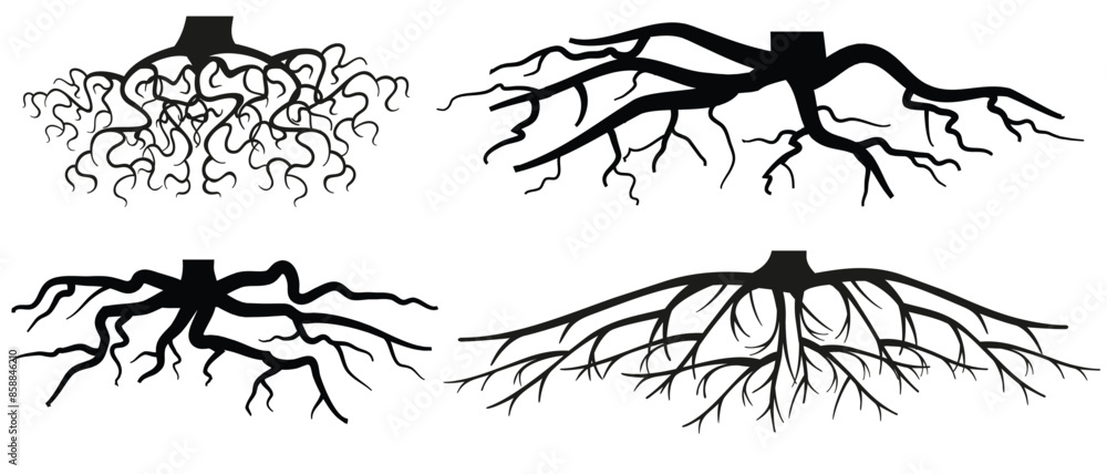 Various realistic tree or shrub roots. Parts of plant, root system with ...