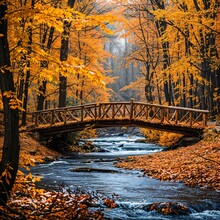 Rock Bridge And Fallen Tree In Fall Free Stock Photo - Public Domain ...