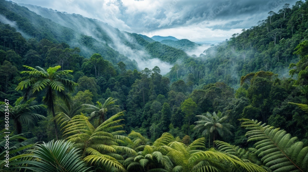 Stock image of the Gondwana Rainforests, Australia, ancient greenery ...