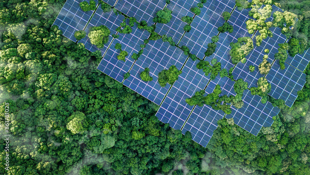 Solar panels installed in the green forest Clean alternative energy ...