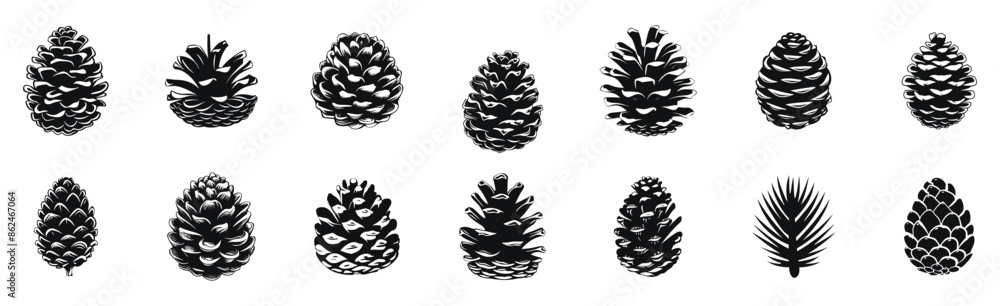 Pine cone collection vector black and white illustration. Various cones ...