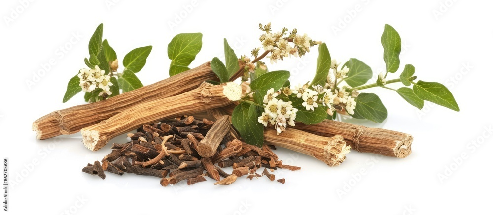 Glycyrrhiza glabra, also known as licorice roots and tea, paloduz, palo ...
