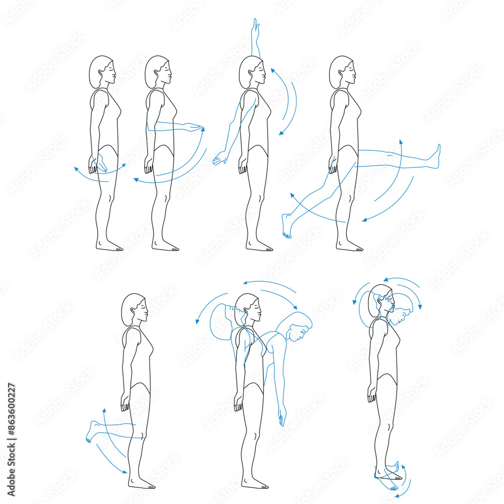 sagittal plane and coronal axis of flexion and extension movement of the human body illustration ...