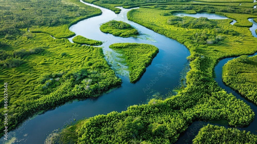 lush river delta aerial view of winding waterways and verdant ...